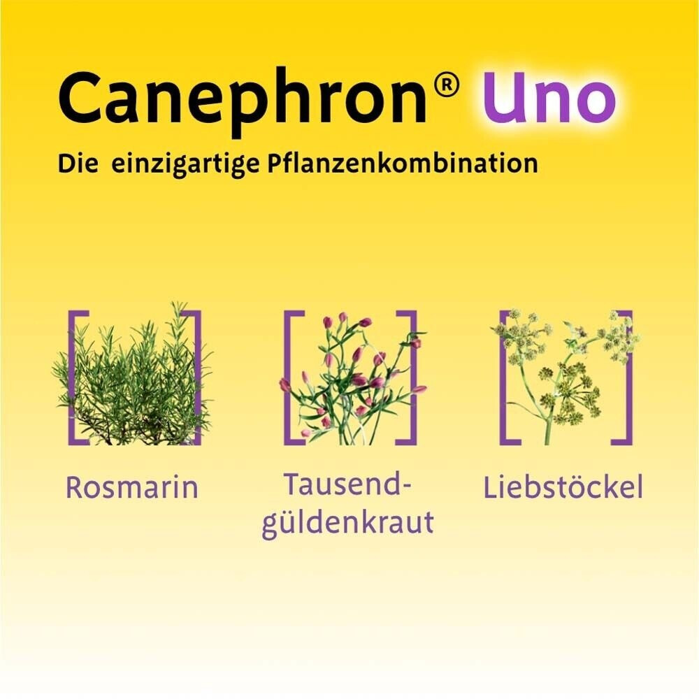 Canephron Uno überzogene Tabletten (30 Stk.) ab 14,66 ...