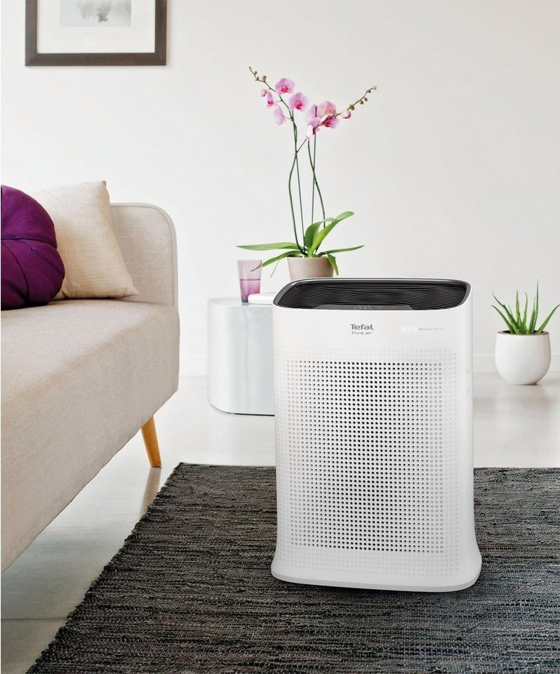 Rowenta PU3040 ab 101 00 Preisvergleich bei idealo