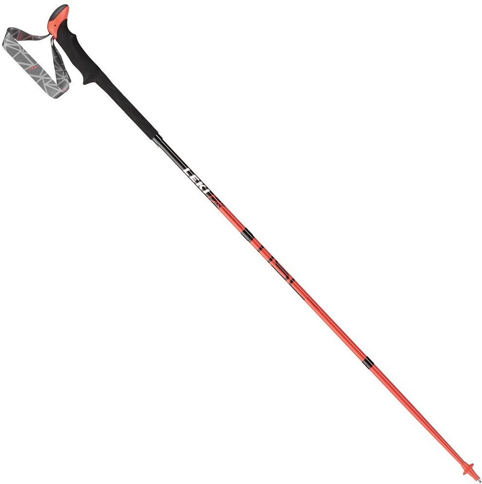 Leki Micro Stick Carbon 115 cm (2019) desde 119,49 € | Compara precios ...