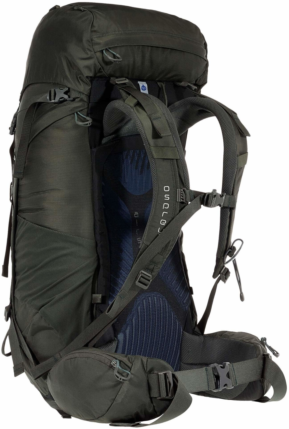 Osprey Kestrel 48 M/L (2019) picholine green ab 180,00 ...