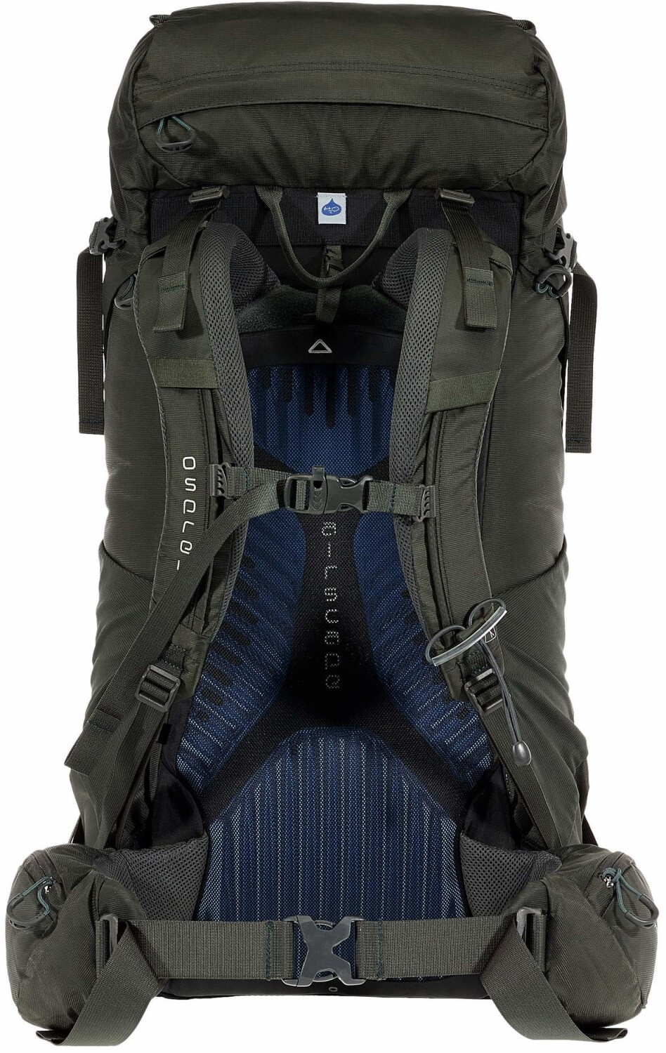 Buy Osprey Kestrel 48 M/L (2019) picholine green from £149.64 (Today ...