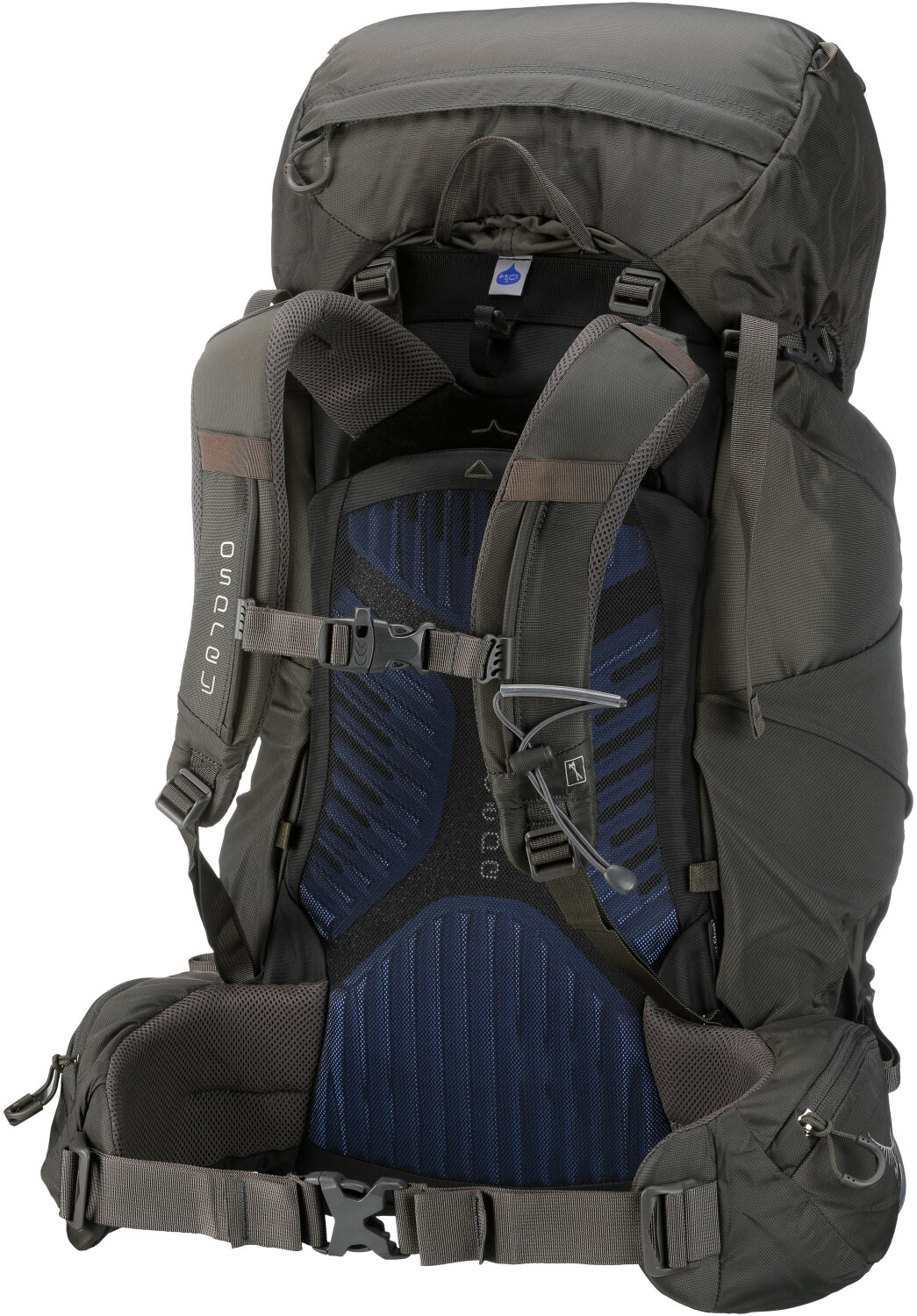 Osprey Kestrel 58 S/M (2019) picholine green ab 193,24 ...