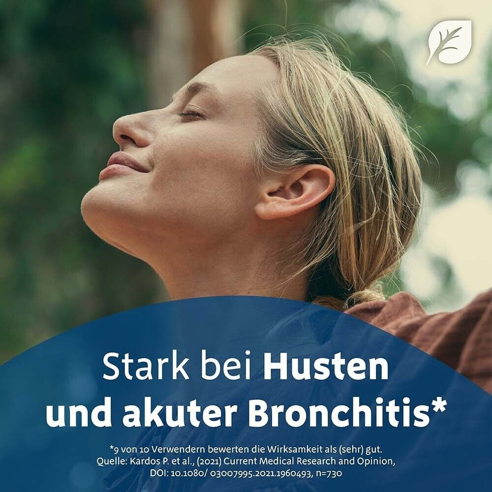 Bronchipret Tropfen (100ml) ab 11,73 € (April 2024 Preise ...