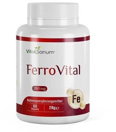 Vitasanum FerroVital 60 St Kapseln ab 17,90 € | Preisvergleich bei ...