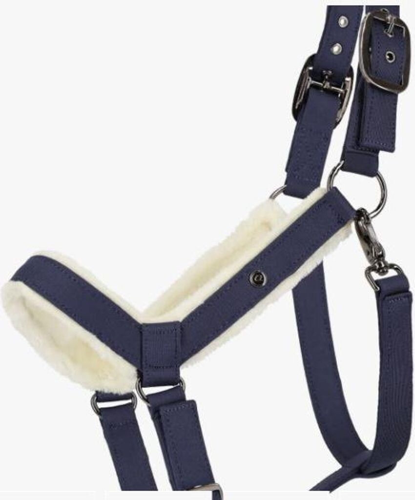 QHP Set aus Halfter und Longiergurt für Pferde Sensisoft blau COB ab 28 ...