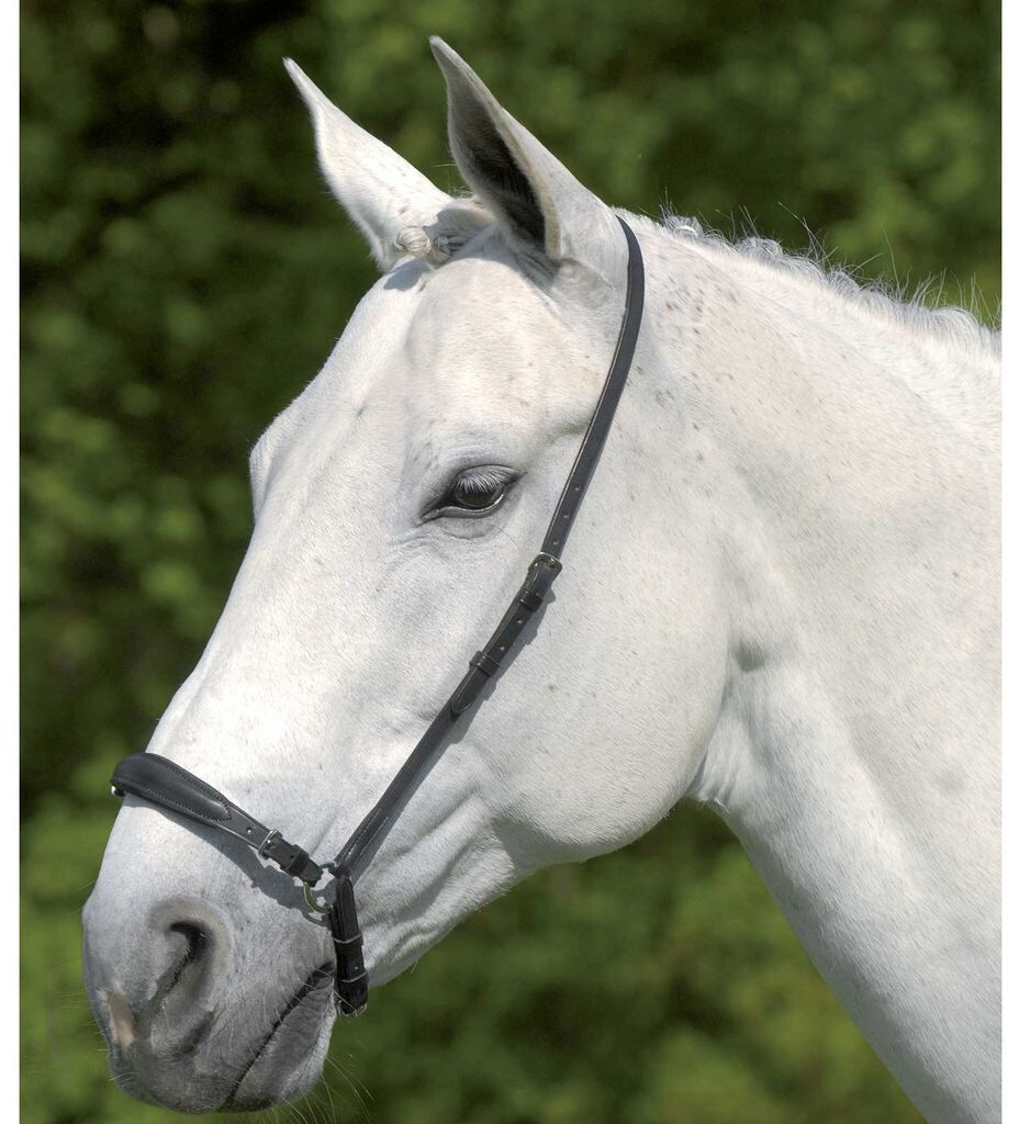 Waldhausen Reithalfter S-Line hann.verstellb., schwarz Schwarz VB ab 28 ...