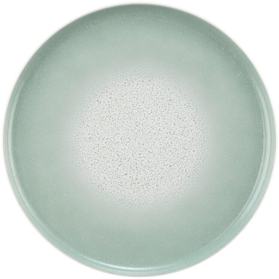 Seltmann Weiden Sento Home Speiseteller rund 27 cm in Aura mint ab 18 ...