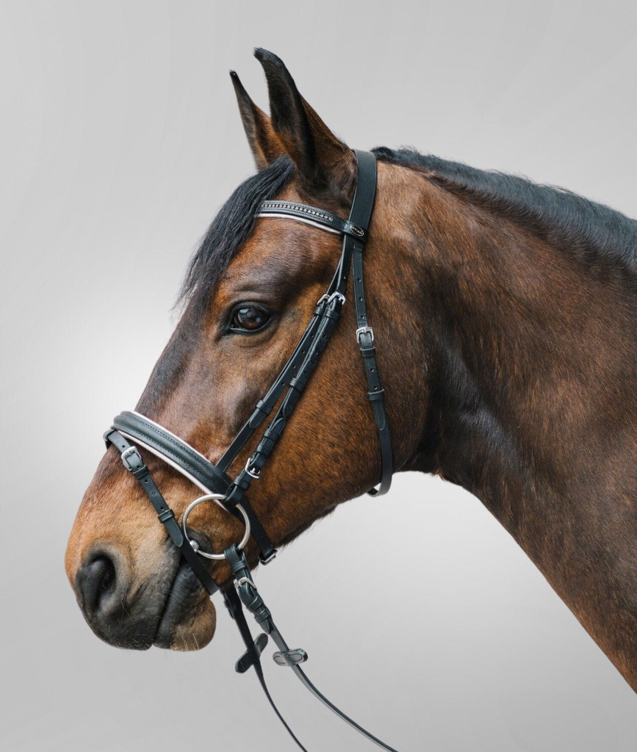 Star Zaumzeug für Pferde Diamond weiß WARMBLUT ab 45,12 ...