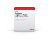 Solidago Virgaurea Injeel Ampullen 10 ST | Preisvergleich bei idealo.de