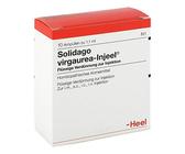 Solidago Virgaurea Injeel Ampullen 10 ST | Preisvergleich bei idealo.de