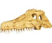 Crane Crocodile sur idealo.fr